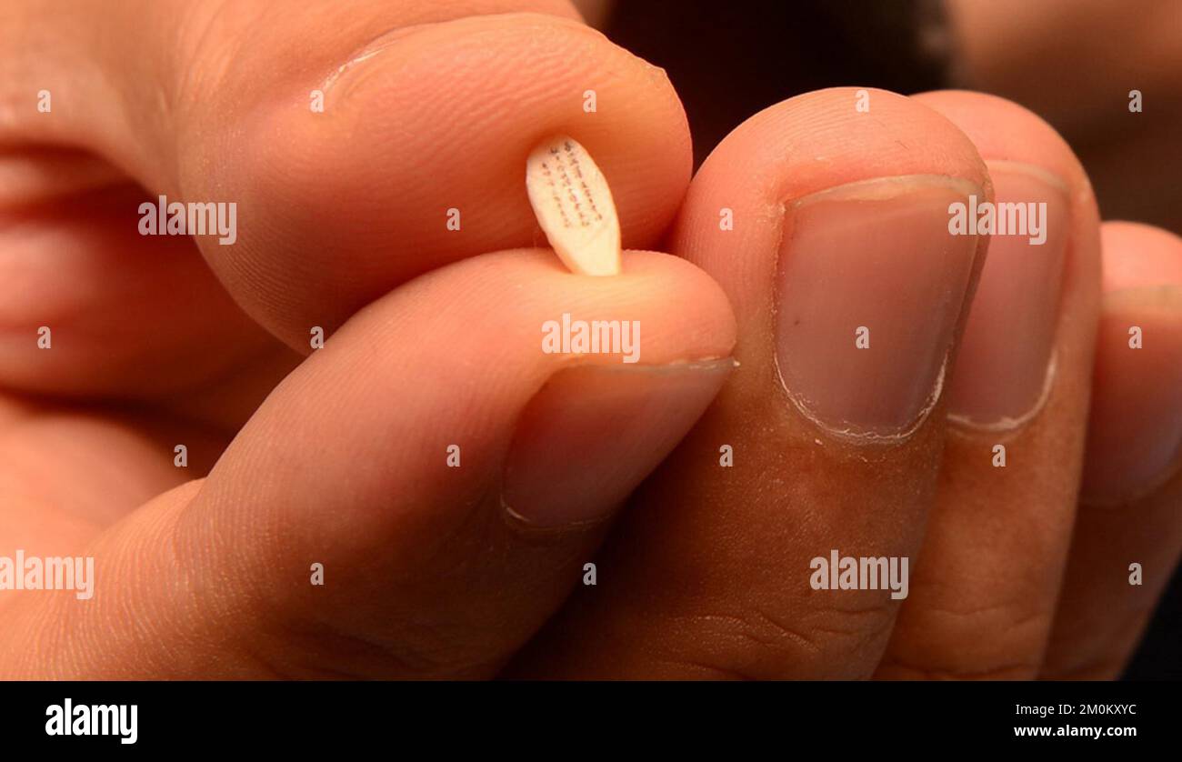 Rice carving works were displayed at the Intangible Cultural Heritage ...