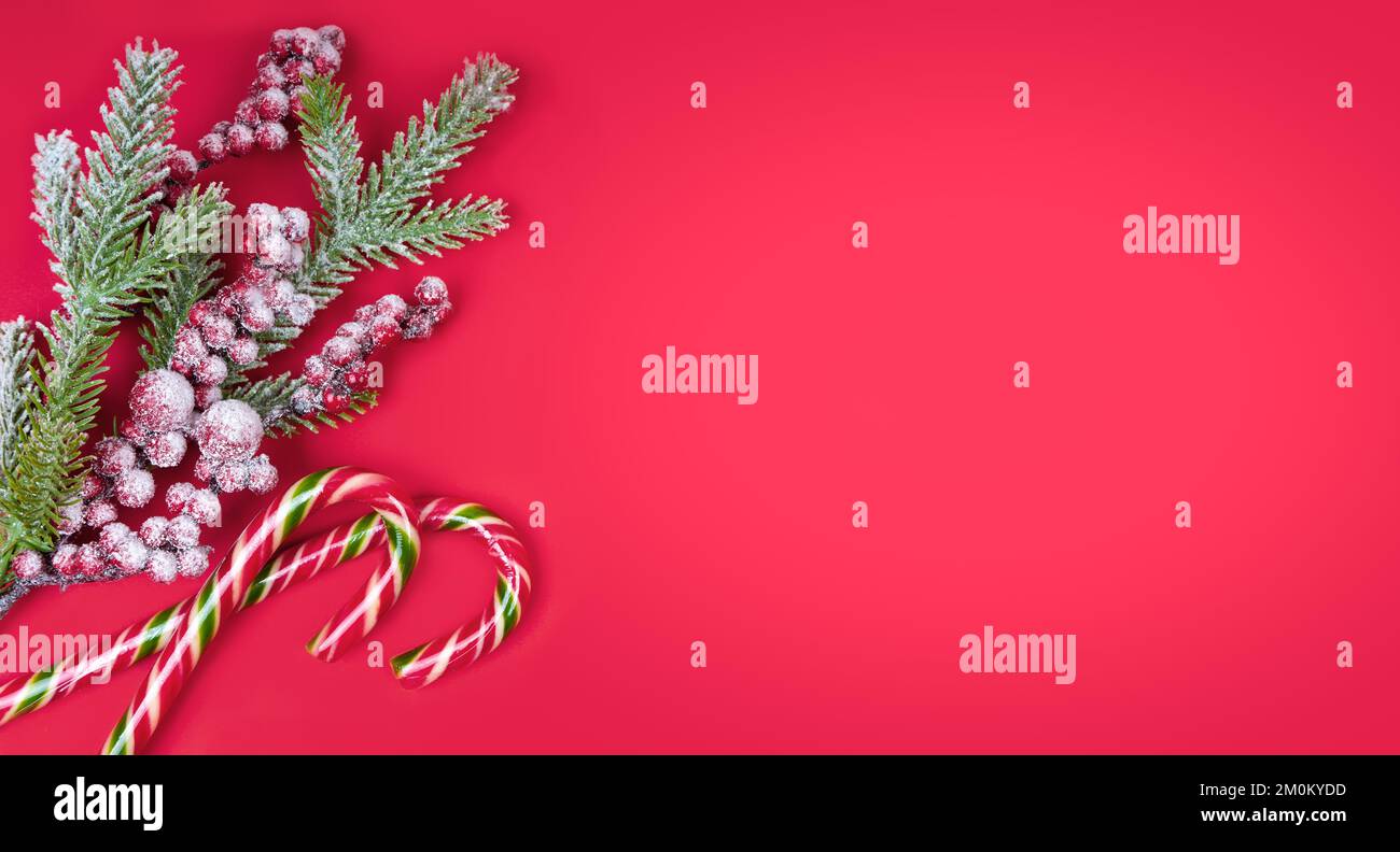 Christmas tree branch and candy cane on red background. Flat lay, top ...
