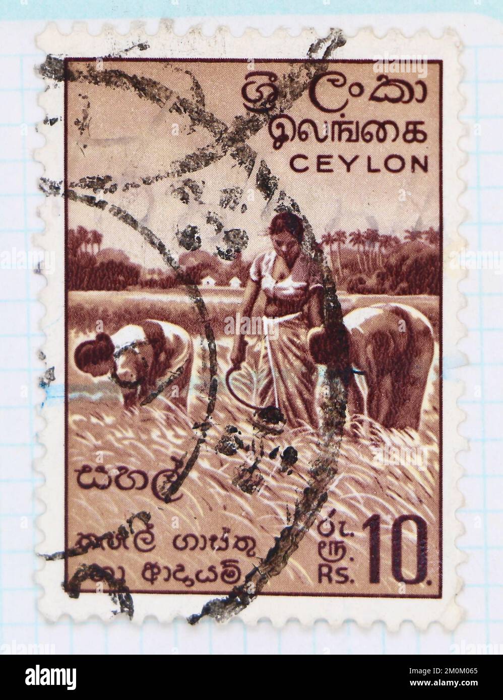 Photo of a postage stamp from Ceylon Harvesting Rice Local Motifs and ...