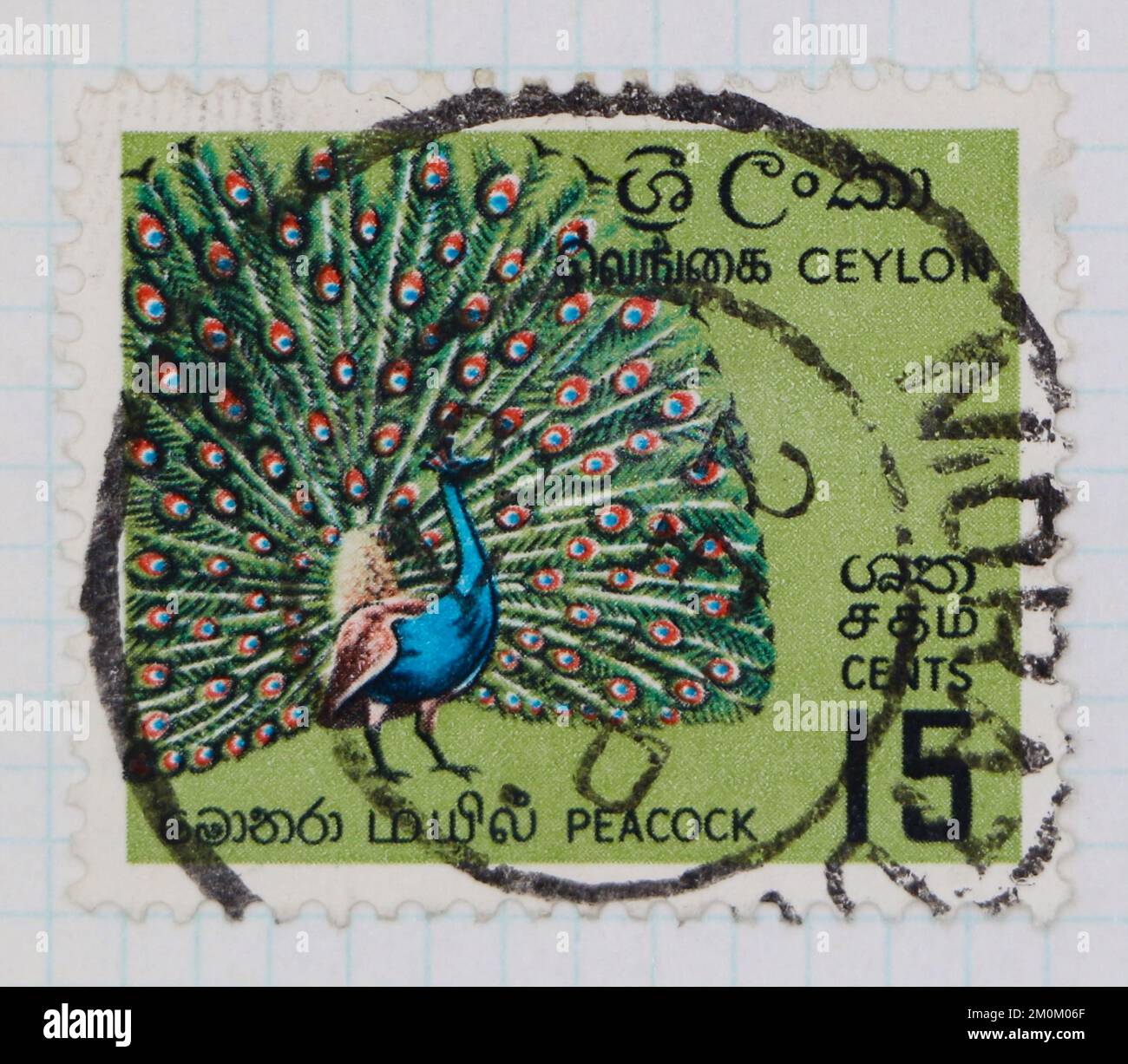 Photo of a postage stamp from Ceylon Indian Peafowl Pavo cristatus ...