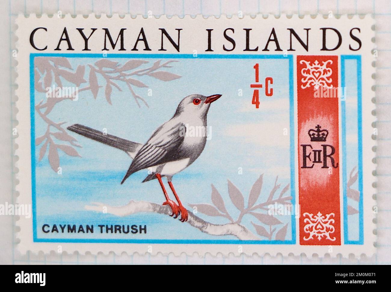 Photo of a postage stamp from the Cayman Islands Cayman Thrush Turdus ...