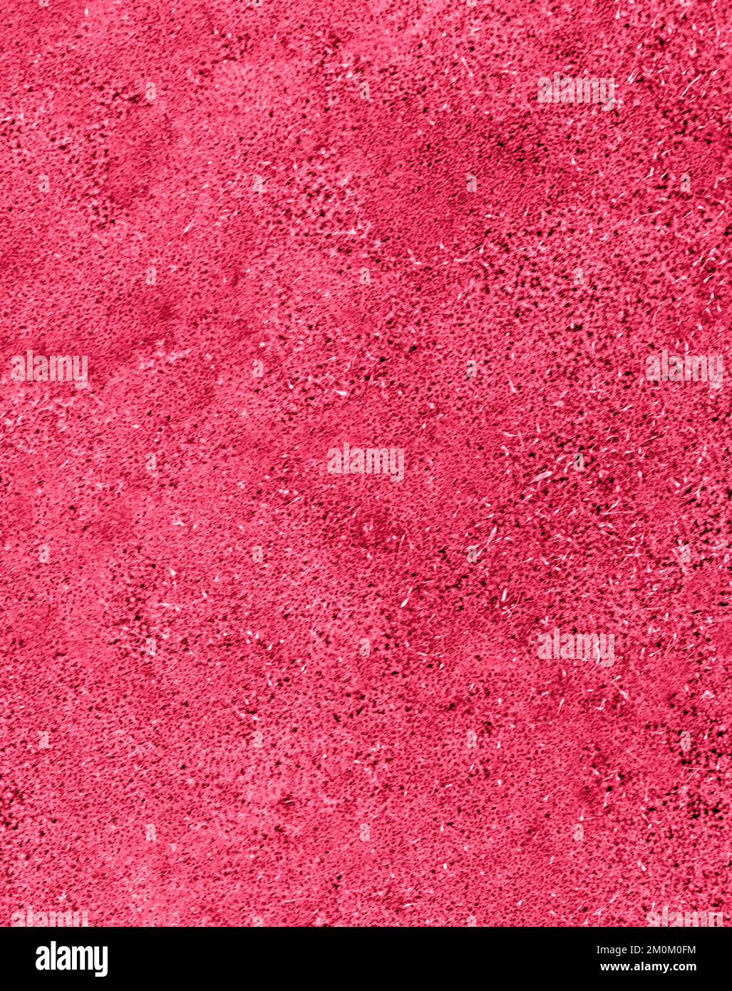Viva Magenta color of the year 2023 Natural textured background with ...