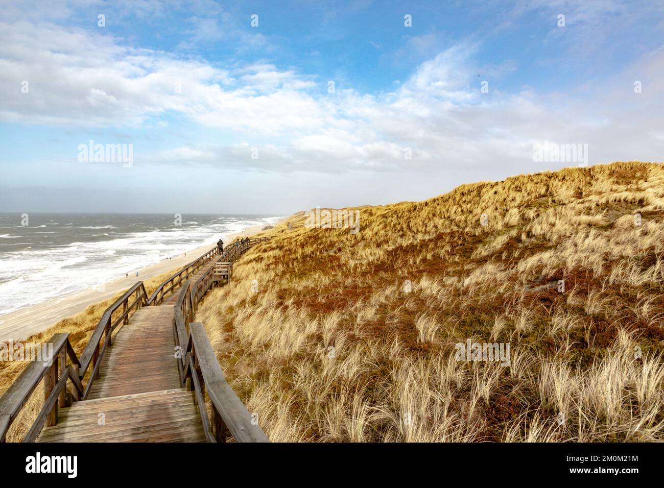 scenic landscape in Sylt with ocean, dune and empty beach in spring ...
