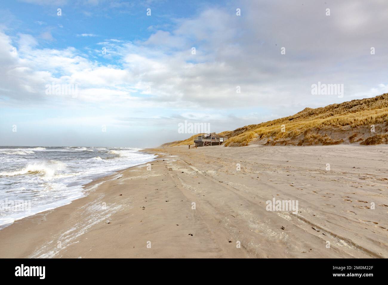scenic landscape in Sylt with ocean, dune and empty beach in spring ...
