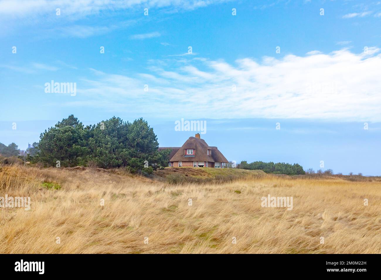 typical reed roofed house in Wenningstedt at the Island of Sylt ...
