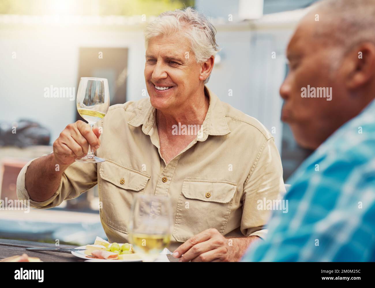 Smiling senior man raising a wineglass on a vineyard with friends ...