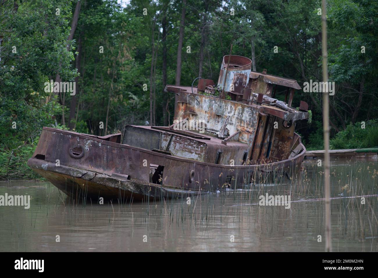 An abandoned rusty ship in the wetland Stock Photo - Alamy