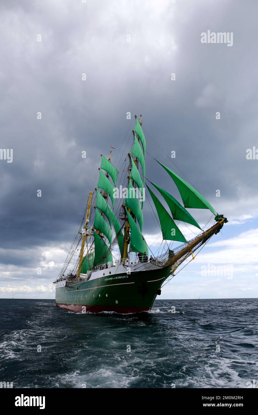 German tall ship Alexander von Humboldt II in Torbay, 2016 Stock Photo ...
