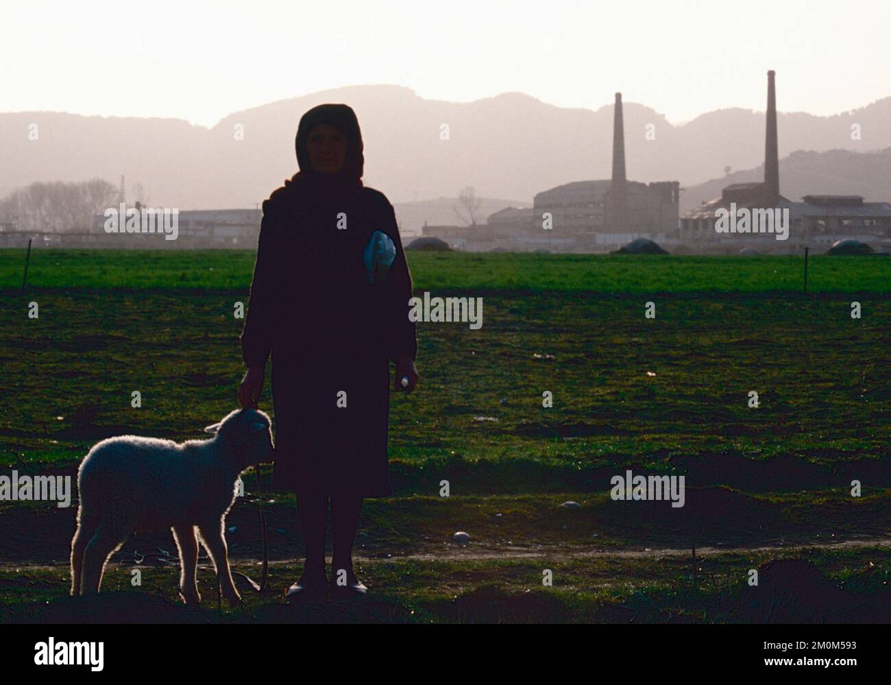 A woman shepherd with a lamb, Albania 1992 Stock Photo - Alamy