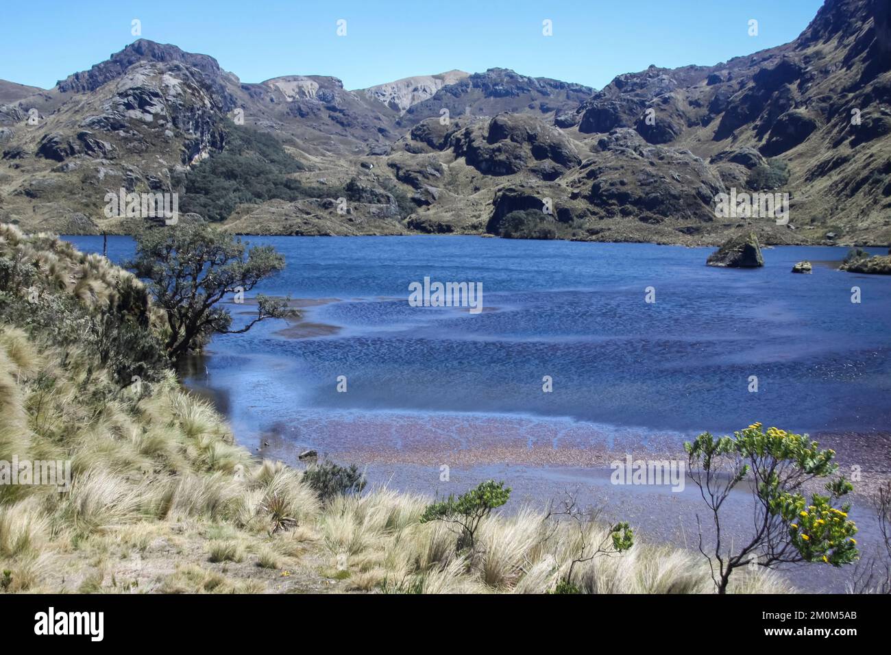 Parque Nacional Cajas, Azuay, Ecuador. El Cajas National Park or Cajas ...