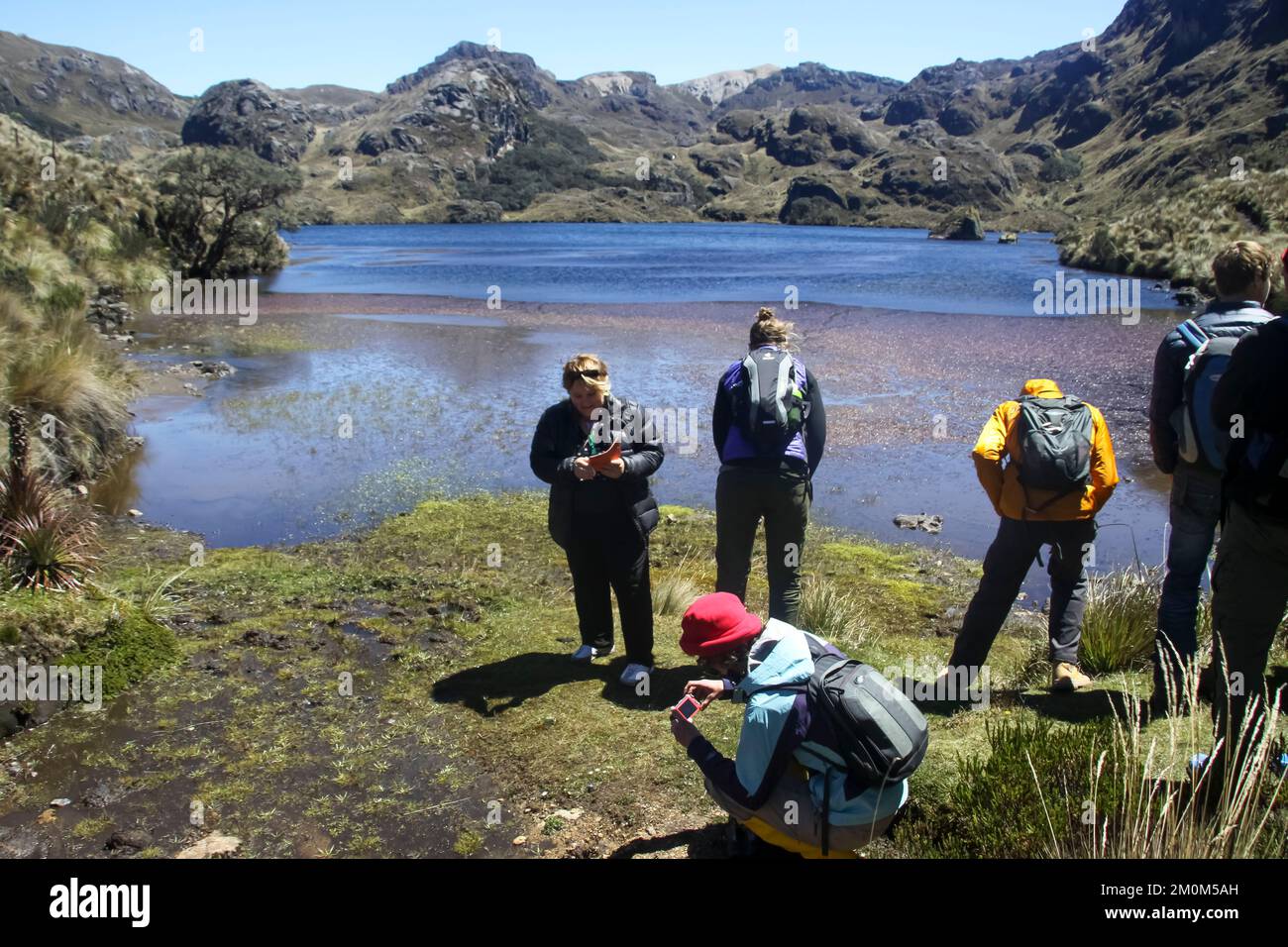 Parque Nacional Cajas, Azuay, Ecuador. El Cajas National Park or Cajas ...