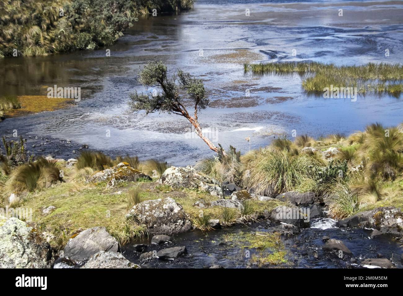 Parque Nacional Cajas, Azuay, Ecuador. El Cajas National Park or Cajas ...