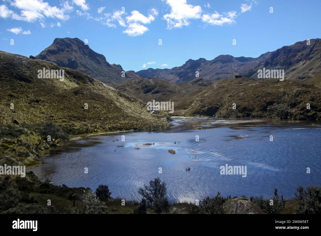 Parque Nacional Cajas, Azuay, Ecuador. El Cajas National Park or Cajas ...