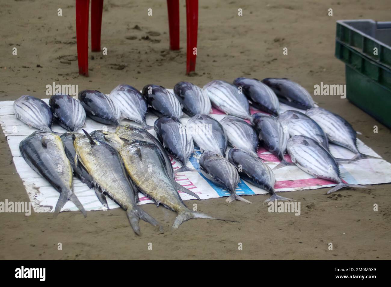 Fish Market at Puerto Lopez, Ecuador. Puerto López (16,000 inhabitants ...