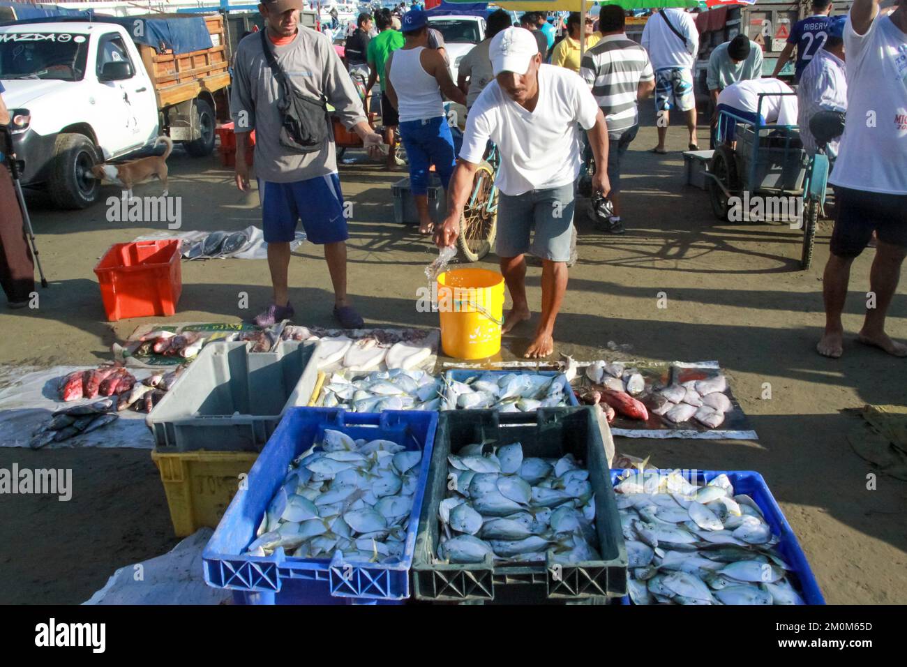 Fish Market at Puerto Lopez, Ecuador. Puerto López (16,000 inhabitants ...