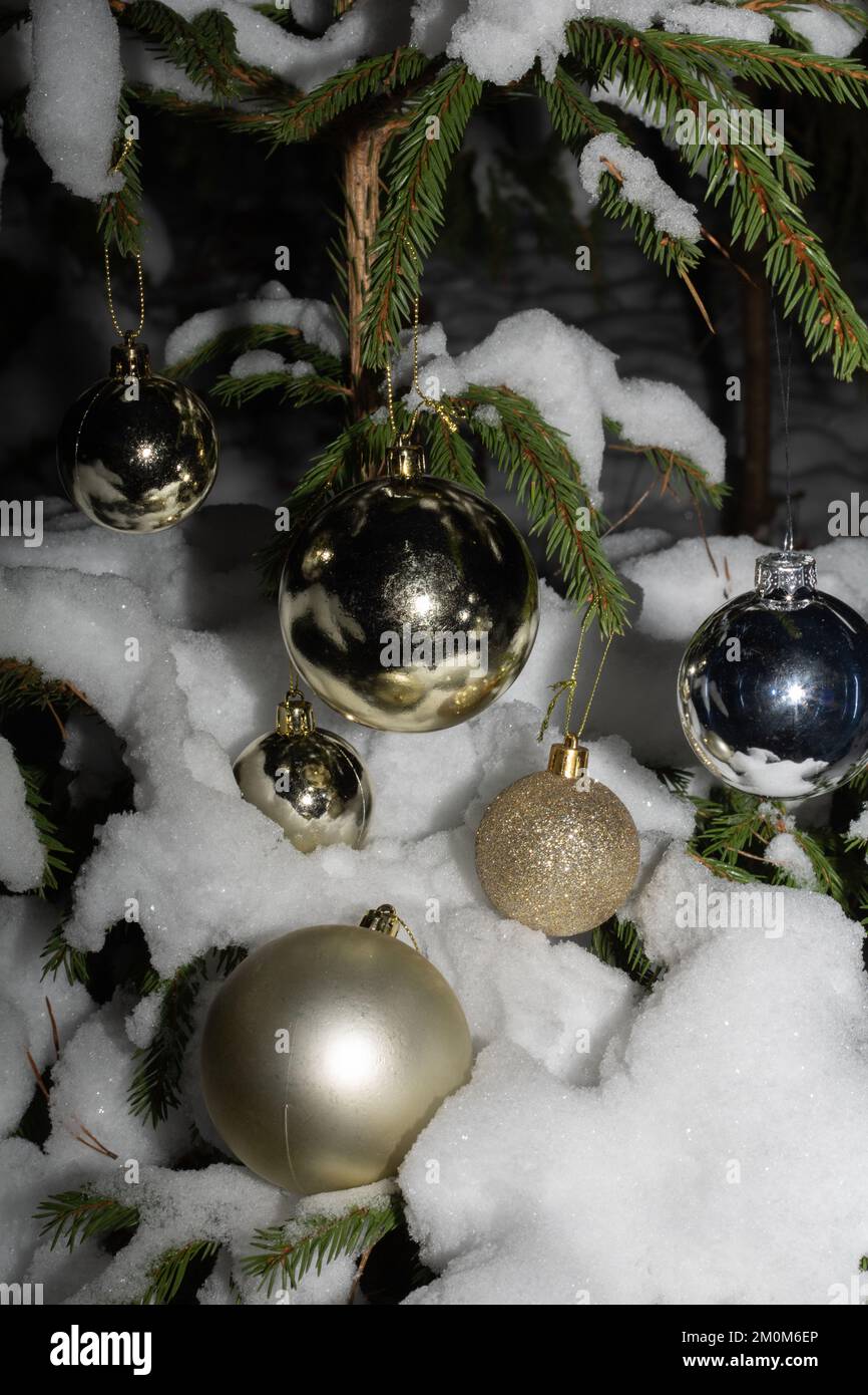 photo spherical-shaped Christmas decorations hanging on the branch of a ...