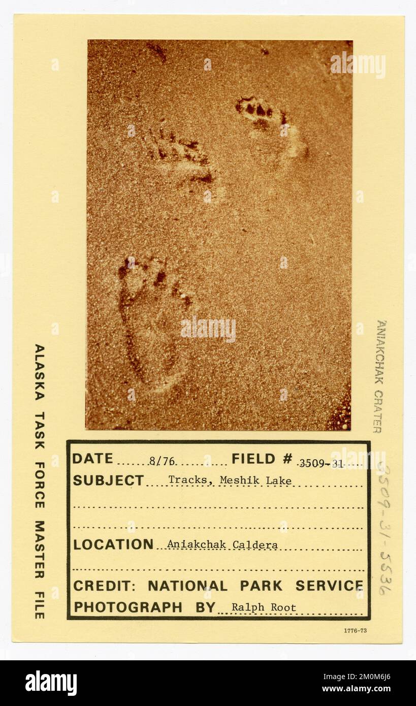 Tracks, Meshik Lake. Alaska Task Force Photographs Stock Photo - Alamy