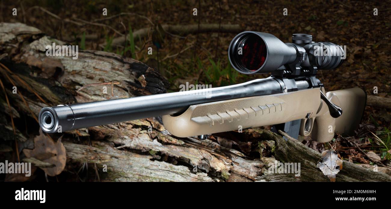High powered hunting rifle with a scope in dark woods Stock Photo - Alamy