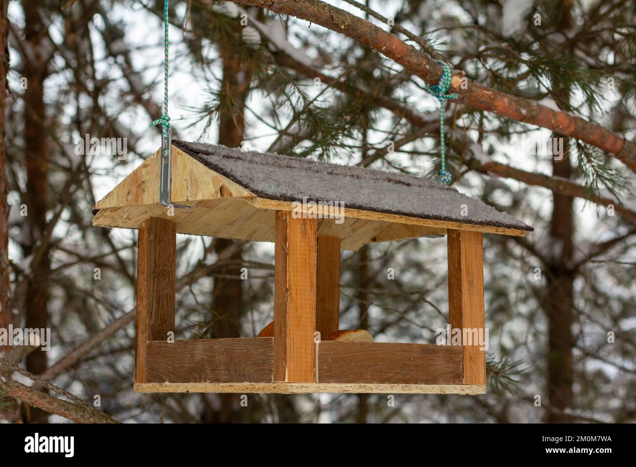 Hanging bird feeder on tree in winter garden hi-res stock photography ...