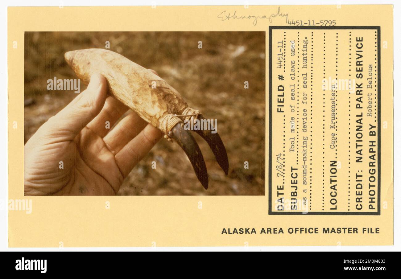 Tool made of seal claws used as a sound-making device for seal hunting ...