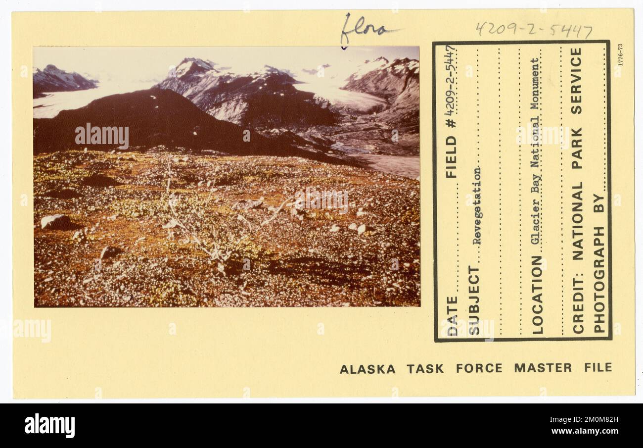 Revegetation. Alaska Task Force Photographs Stock Photo - Alamy