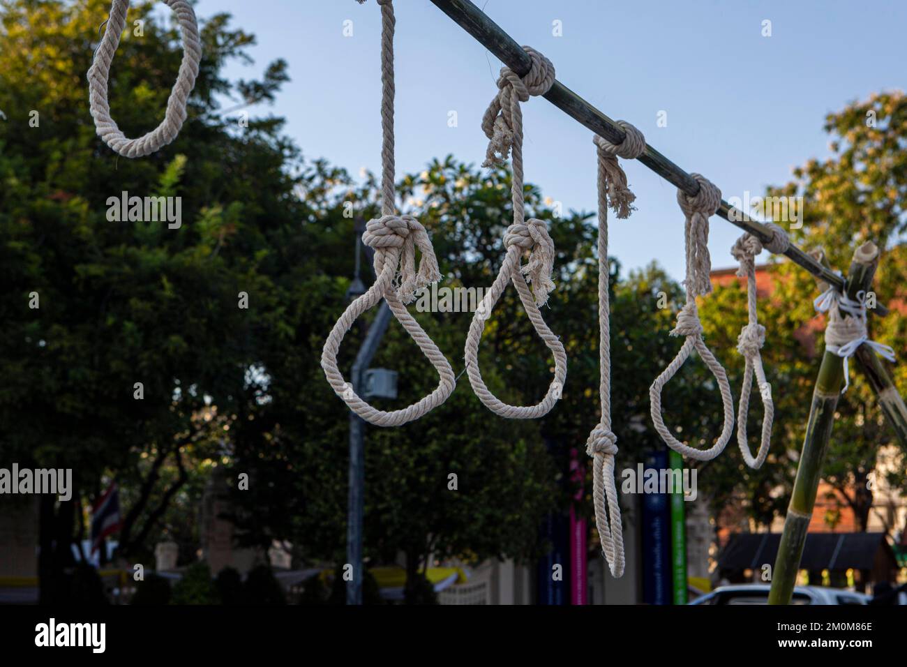 Chiang Mai, Chiang Mai, Thailand. 6th Dec, 2022. 7 rope nooses are ...