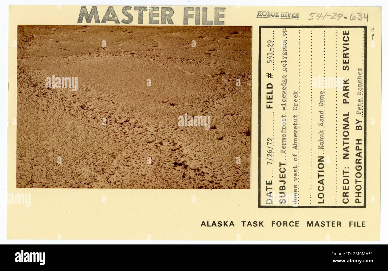 Permafrost = icewedge polygons on dunes west of Ahnewetut Creek. Alaska ...