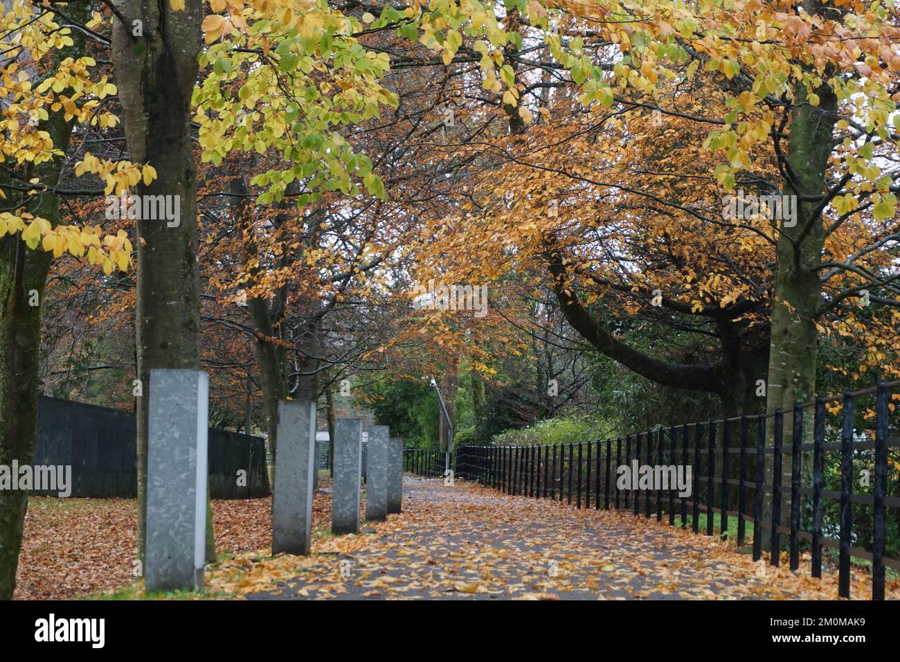 Rainy days hiking hi-res stock photography and images - Alamy