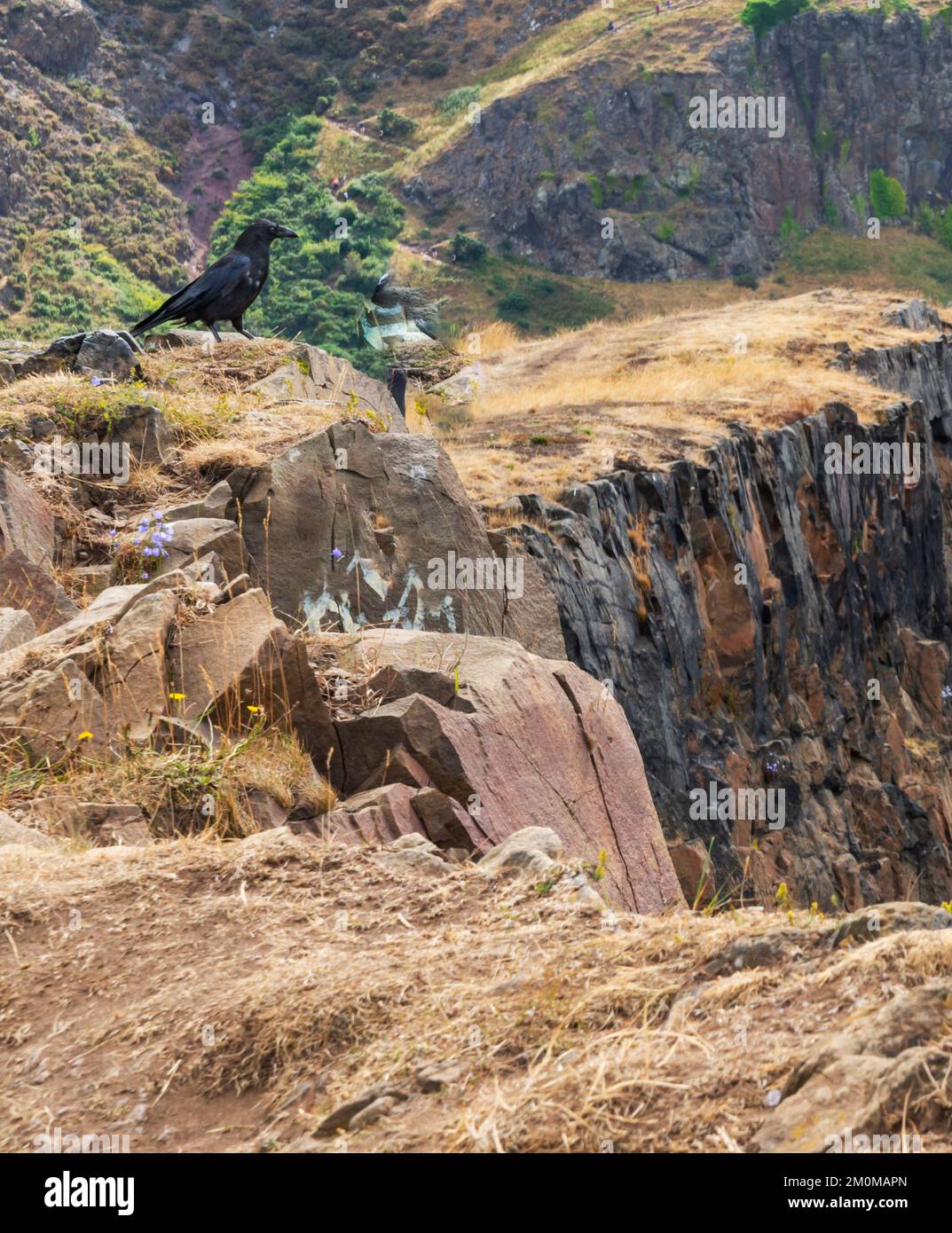 Arthur’s seat walkers summer hi-res stock photography and images - Alamy