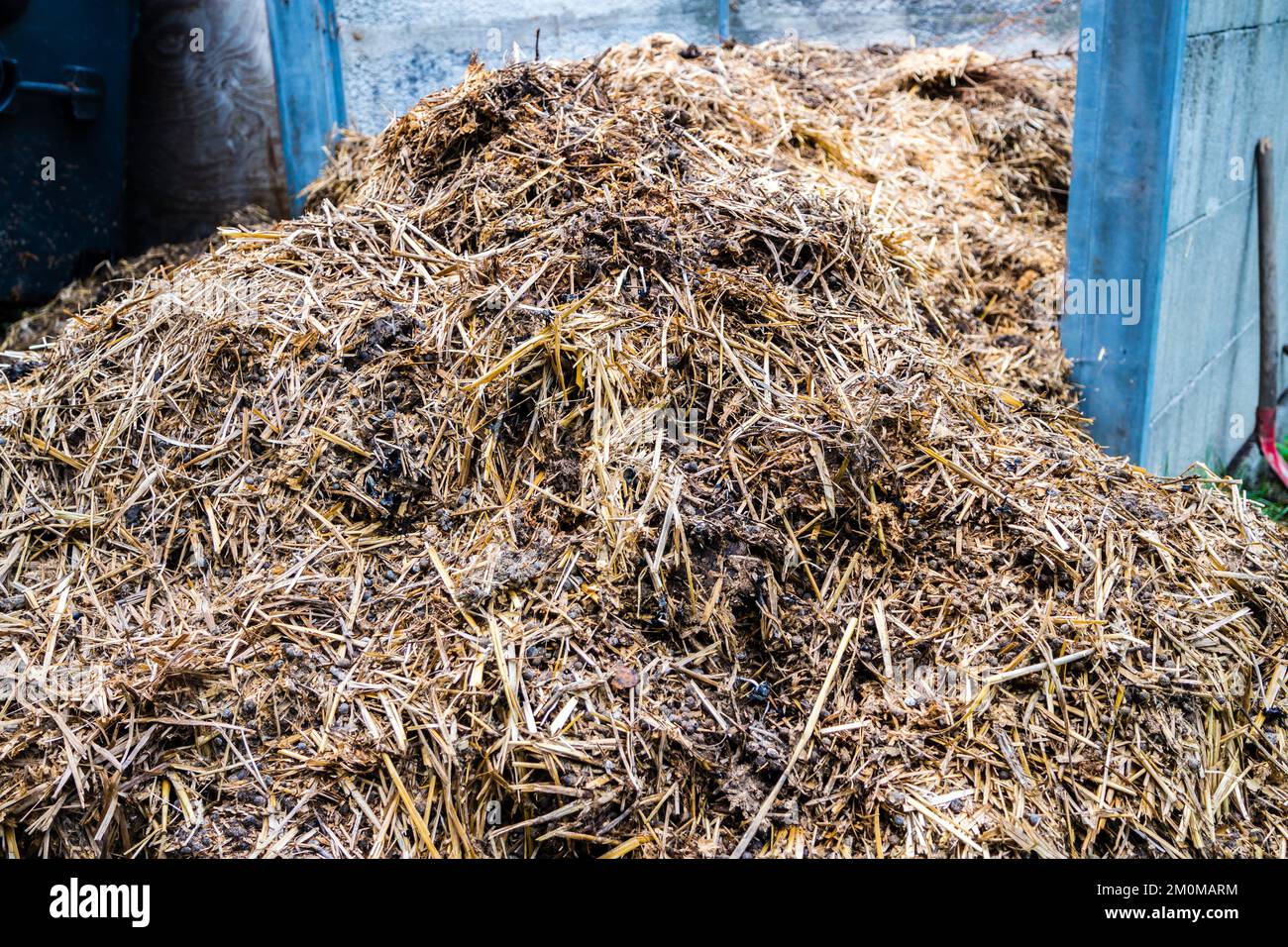 big pile of horse manure Stock Photo - Alamy