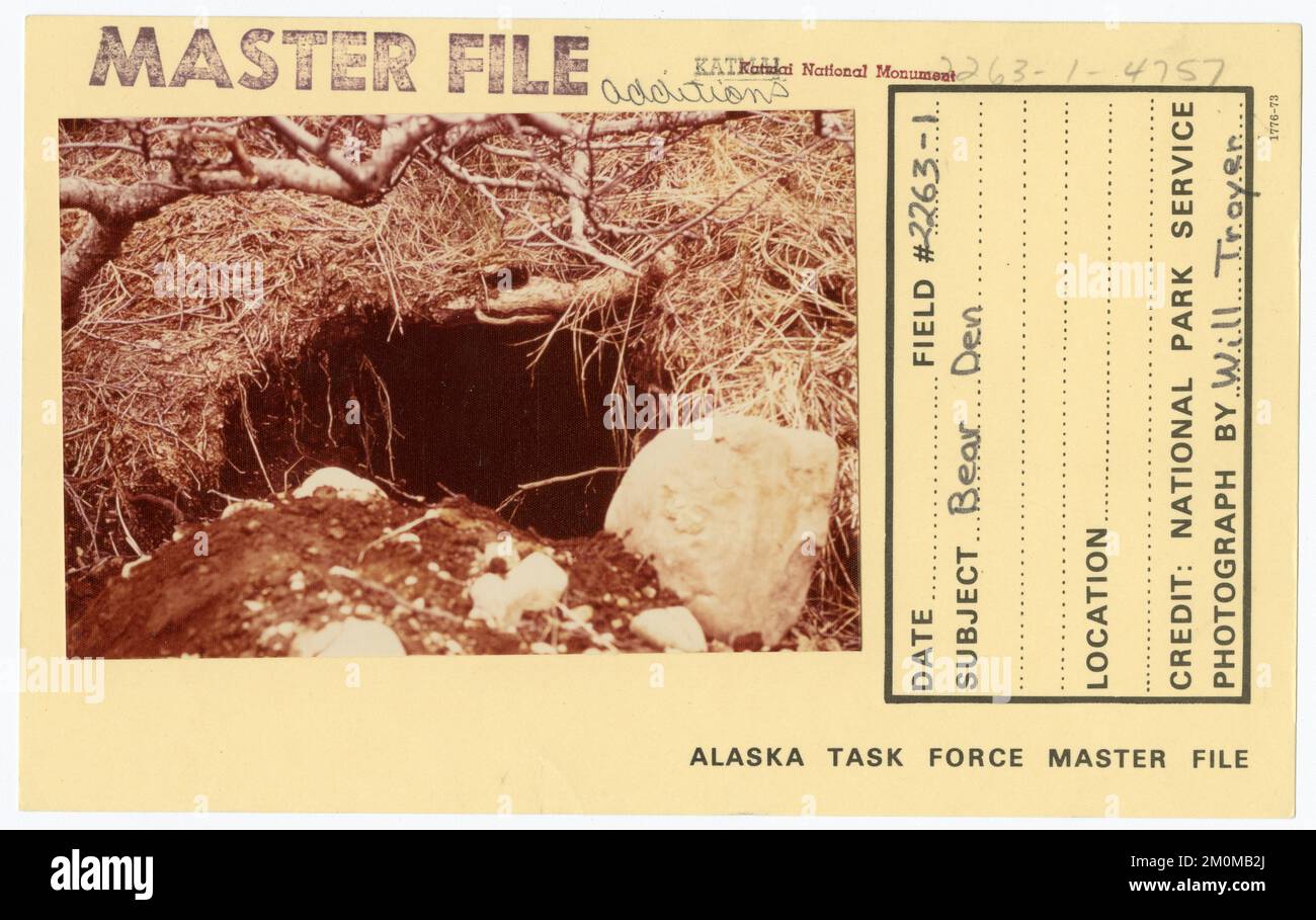 Bear den. Alaska Task Force Photographs Stock Photo - Alamy