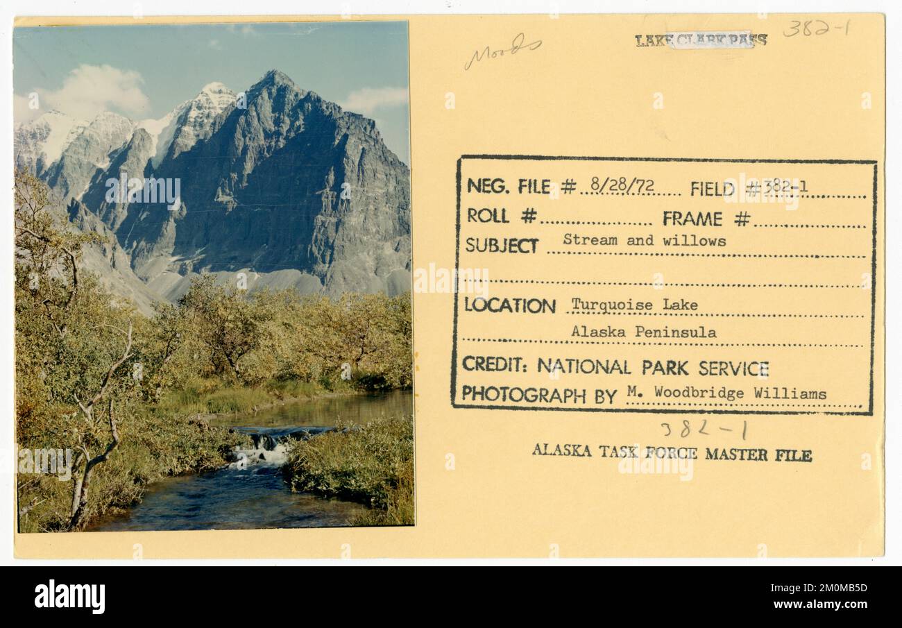 Stream and willows. Alaska Task Force Photographs Stock Photo - Alamy