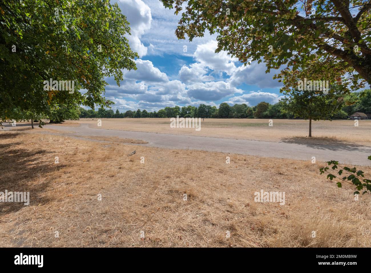 Clapham Common During The drought of 2022 Stock Photo - Alamy