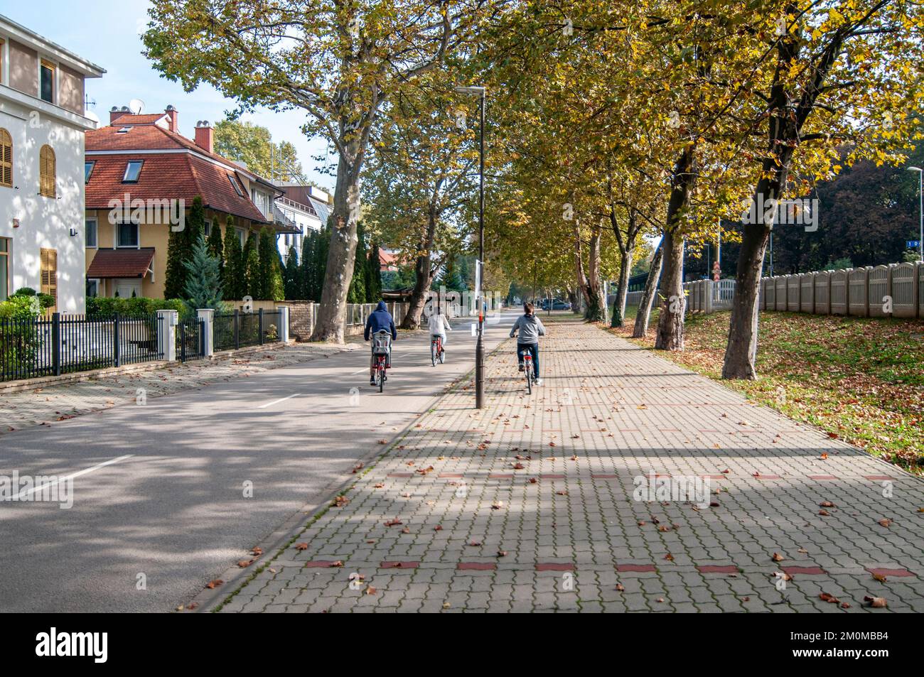a family with young children cycling on a bicycle path at ...