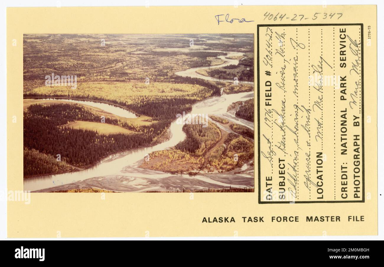 Kantishna River, north additions, showing mosaic of spruce and birch ...