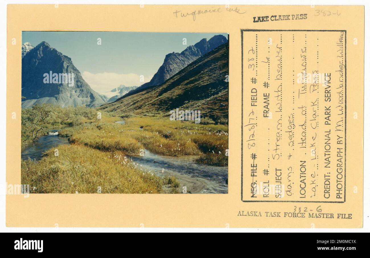 Stream with beaver dams and sedges. Alaska Task Force Photographs Stock ...