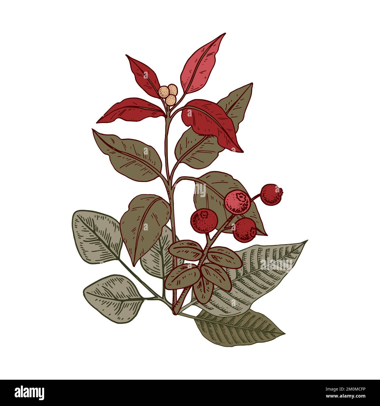 Christmas garland on old Stock Vector Images - Alamy