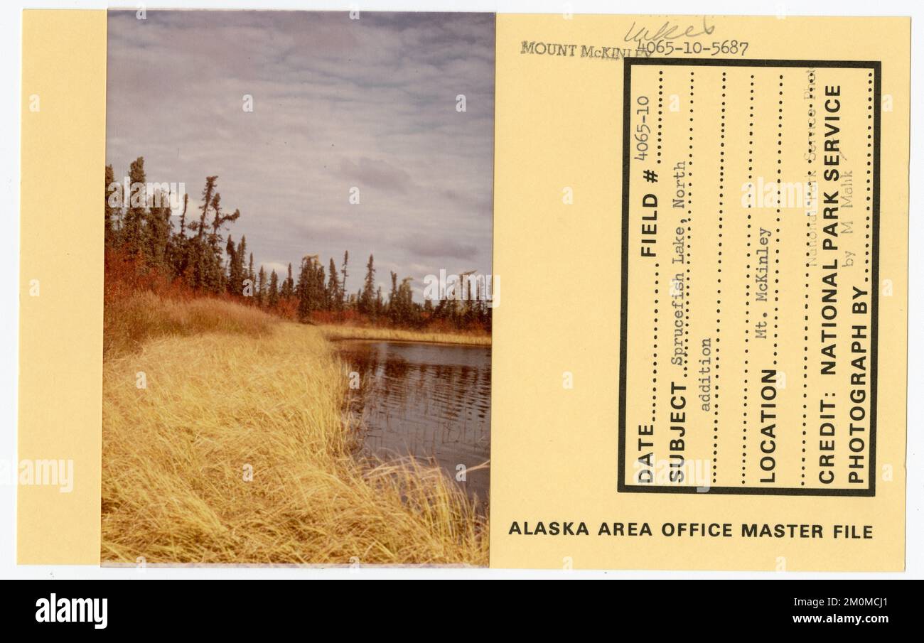 Kontrashibuna Lake with Lake Clark in background. Alaska Task Force ...