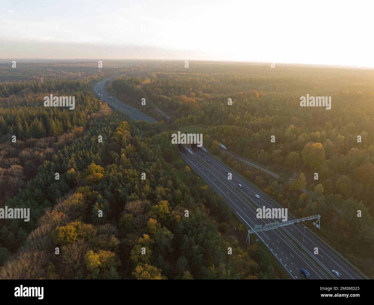 Ecoduct, ecopassage, nature bridge or game changeover. Infrastructure ...
