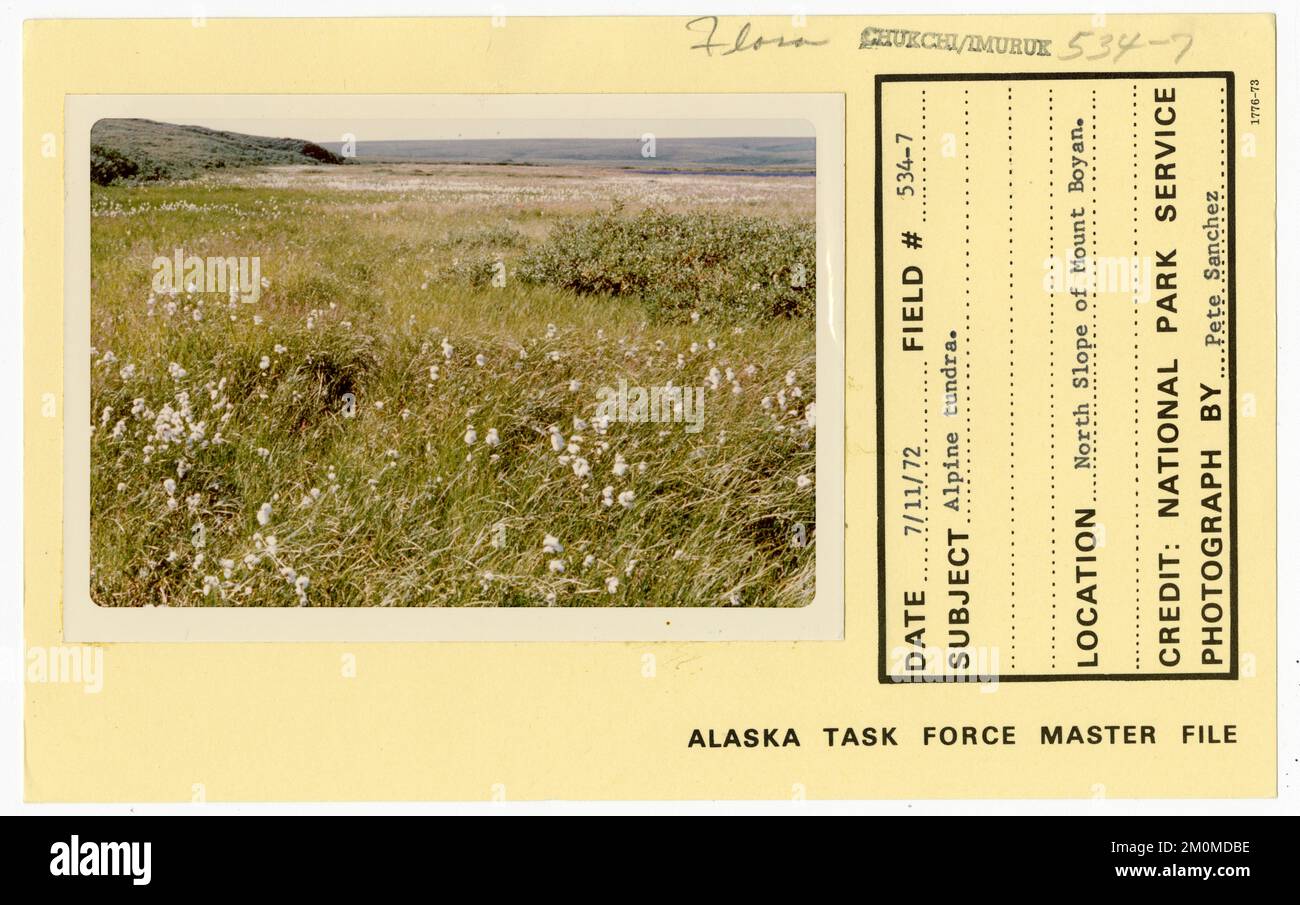 Alpine tundra. Alaska Task Force Photographs Stock Photo - Alamy