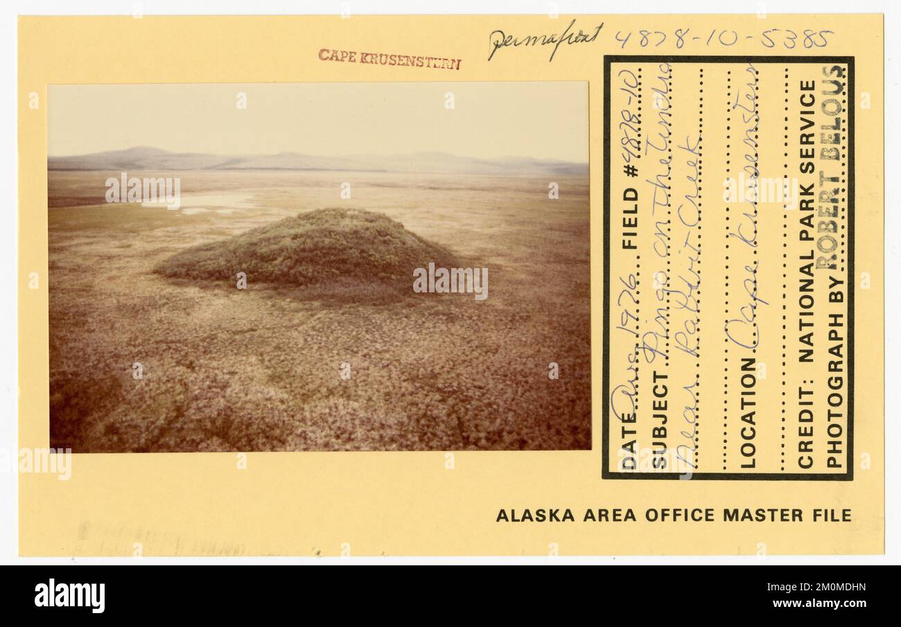 Pingo on the tundra near Rabbit Creek. Alaska Task Force Photographs ...