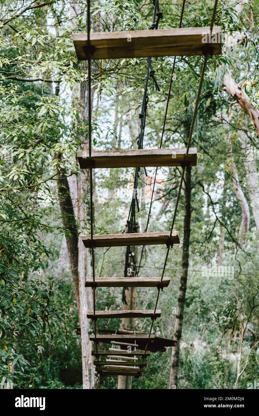 High ropes experience adventure tree park. Rope road course in trees ...