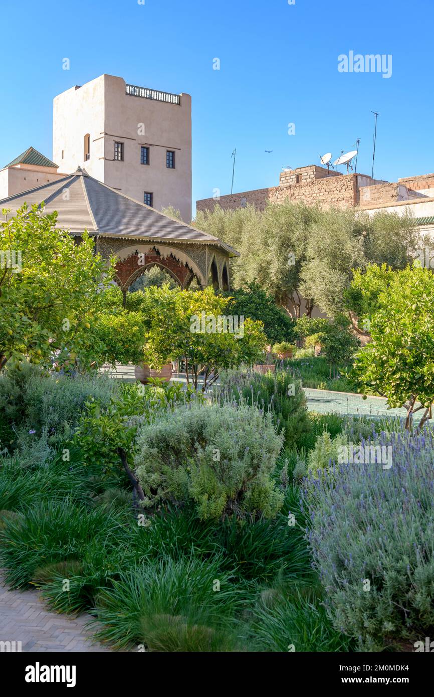 The Secret Garden in Marrakech. Two connected gardens one is filled ...