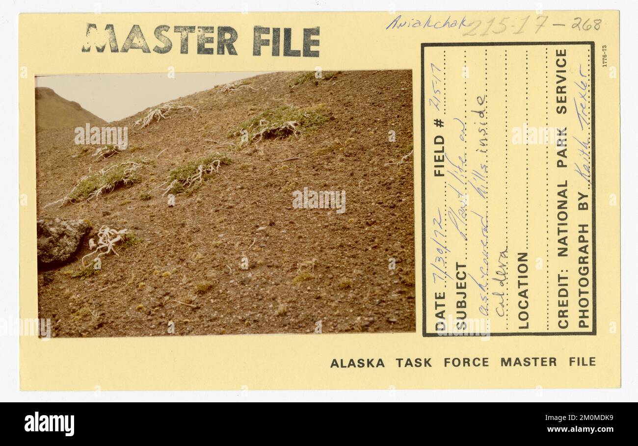 Plant life on ash-covered hills inside caldera. Alaska Task Force ...