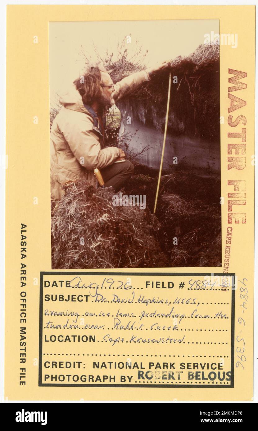 Dr. David Hopkins USGS examining an ice lens protruding from the tundra ...