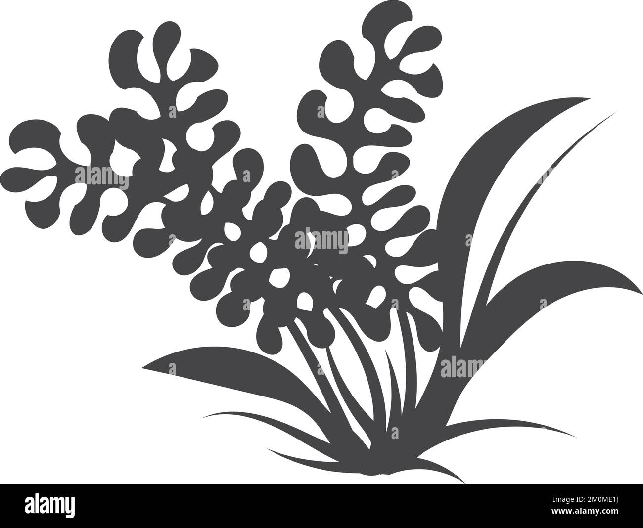 Botany nature Black and White Stock Photos & Images - Alamy