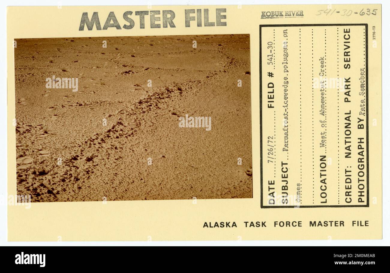 Permafrost = icewedge polygons on dunes. Alaska Task Force Photographs ...
