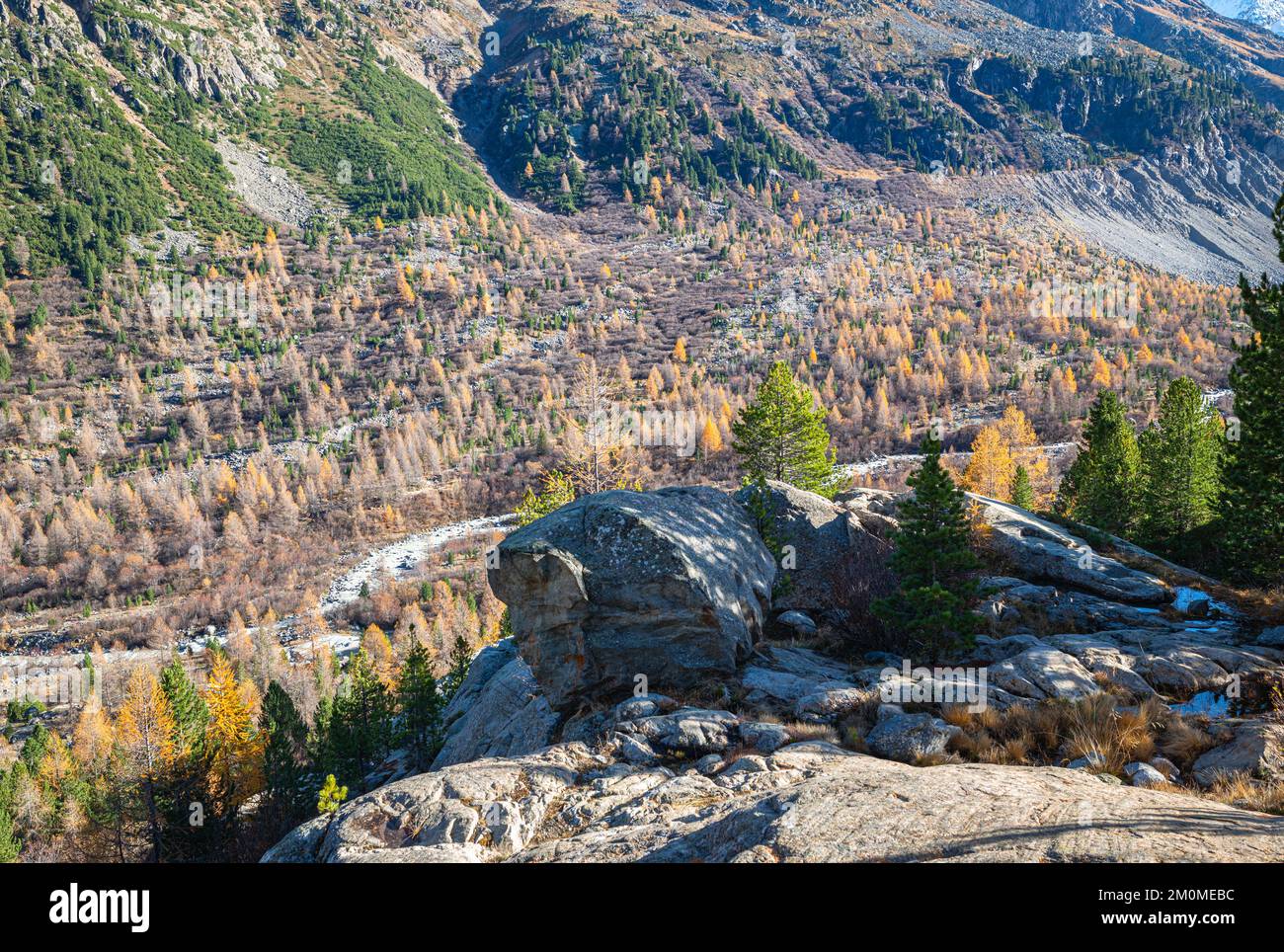 View of the valley with the Morteratsch River in the Swiss Alps, which ...