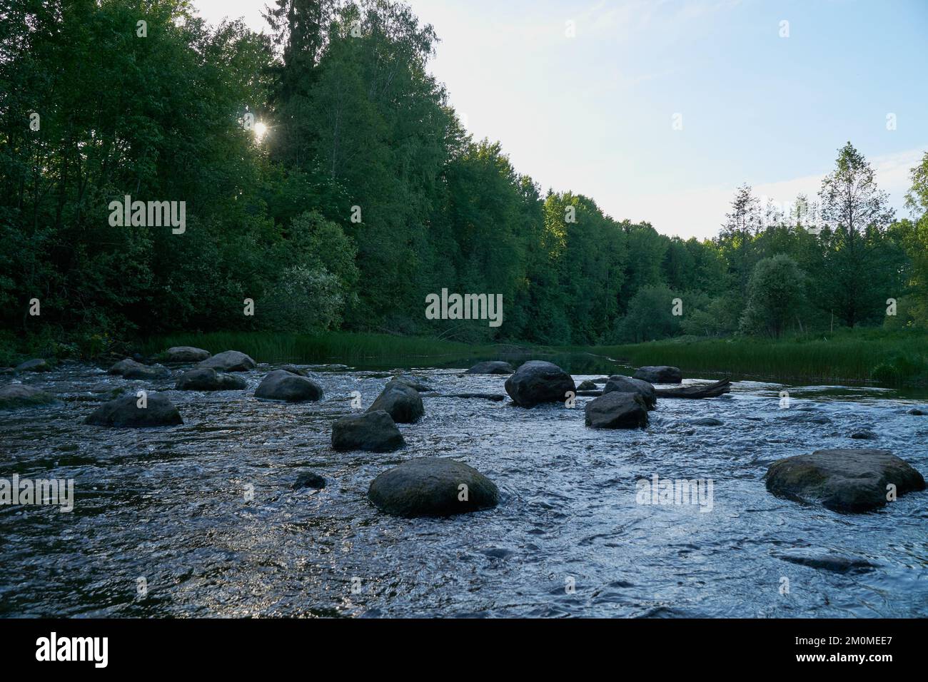 The rapid mountain river with a powerful rushing stream of water in the ...