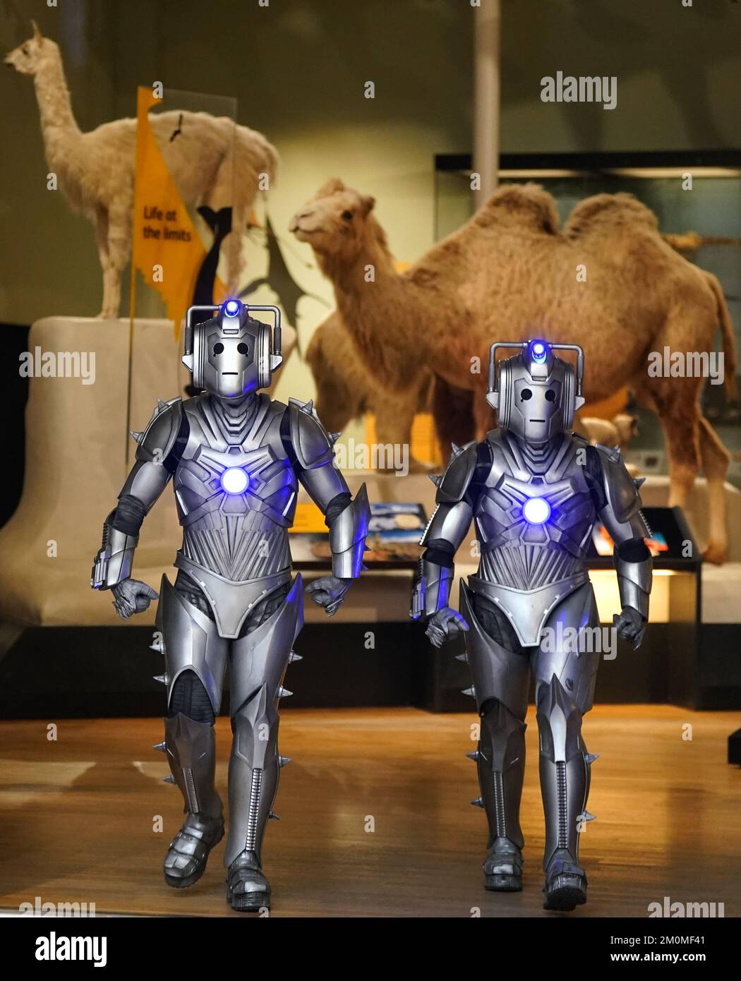 New Cybermen 2022